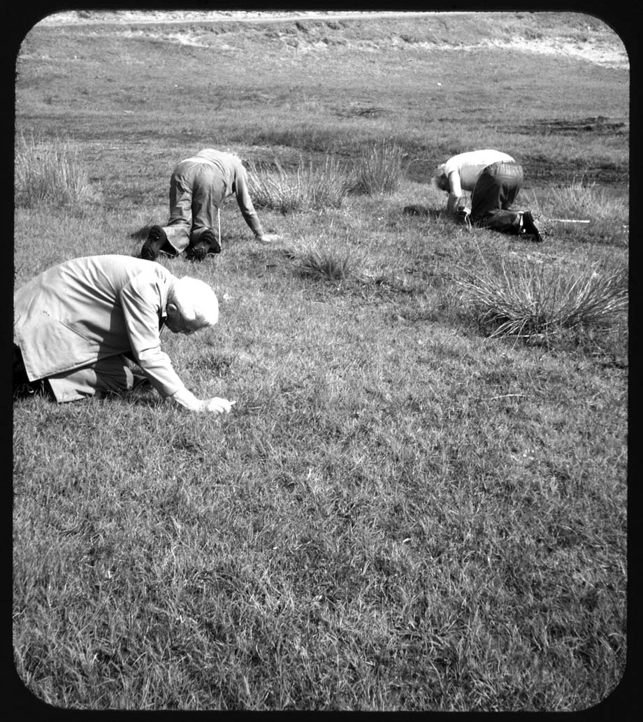 Expo Andrea Büttner - Exposition art contemporain - Artiste Andrea ...