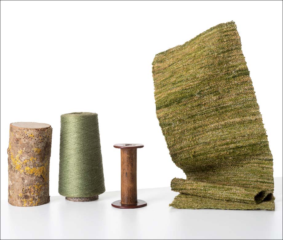 Design: "Alga" de Samuel Tomatis, biodesign et algues vertes