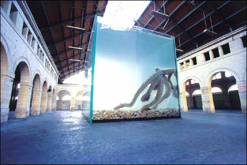 Simone Decker - Critique - Jeu de Paume - Photo - Trompe l'oeil - In ...