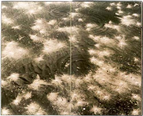 Dust. Histoires de poussière, d’après Man Ray et Marcel Duchamp, au Bal