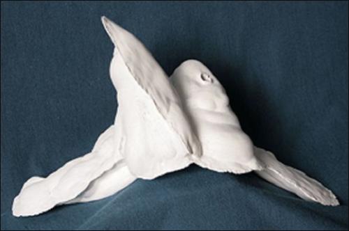 Eric Cameron - Exposition - Musée national Marc Chagall - Nice - Paris Art